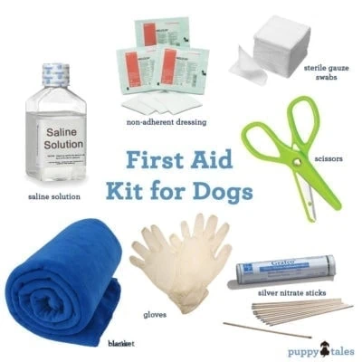 First Aid for Dogs - General tips - Puppy Tales